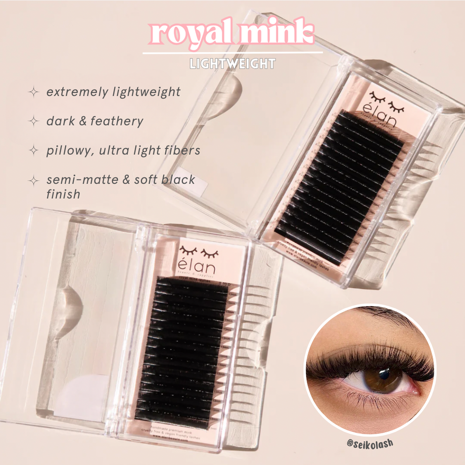 lash trays ⋆˚ ˖° – elan beaute and supplies